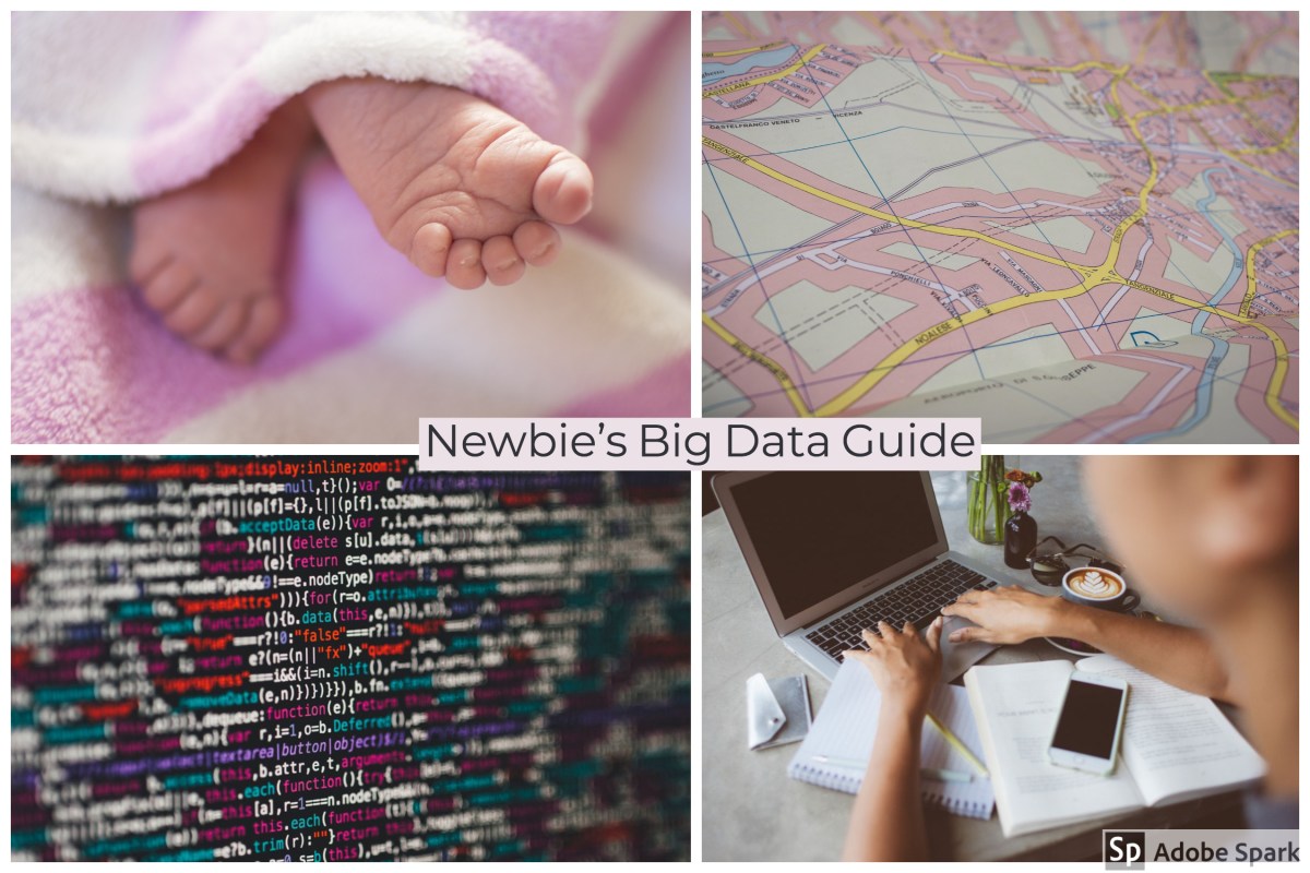 A Newbie’s Guide to Big Data – BigDataPrincess