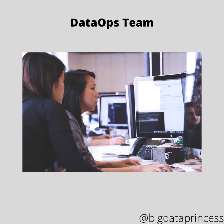 Data Science Operation v2 – BigDataPrincess