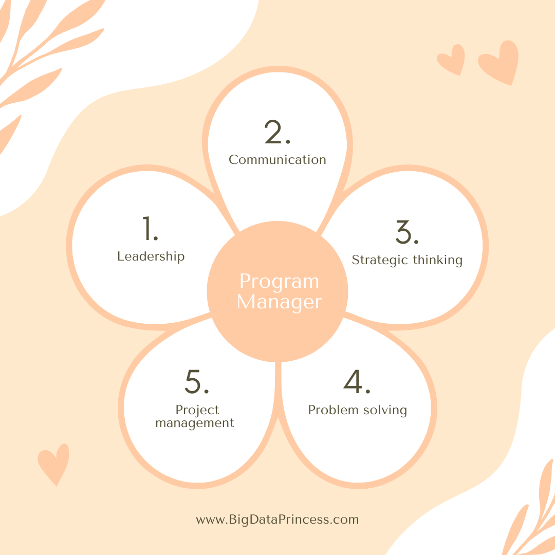 Program Management & Data Analytics – BigDataPrincess
